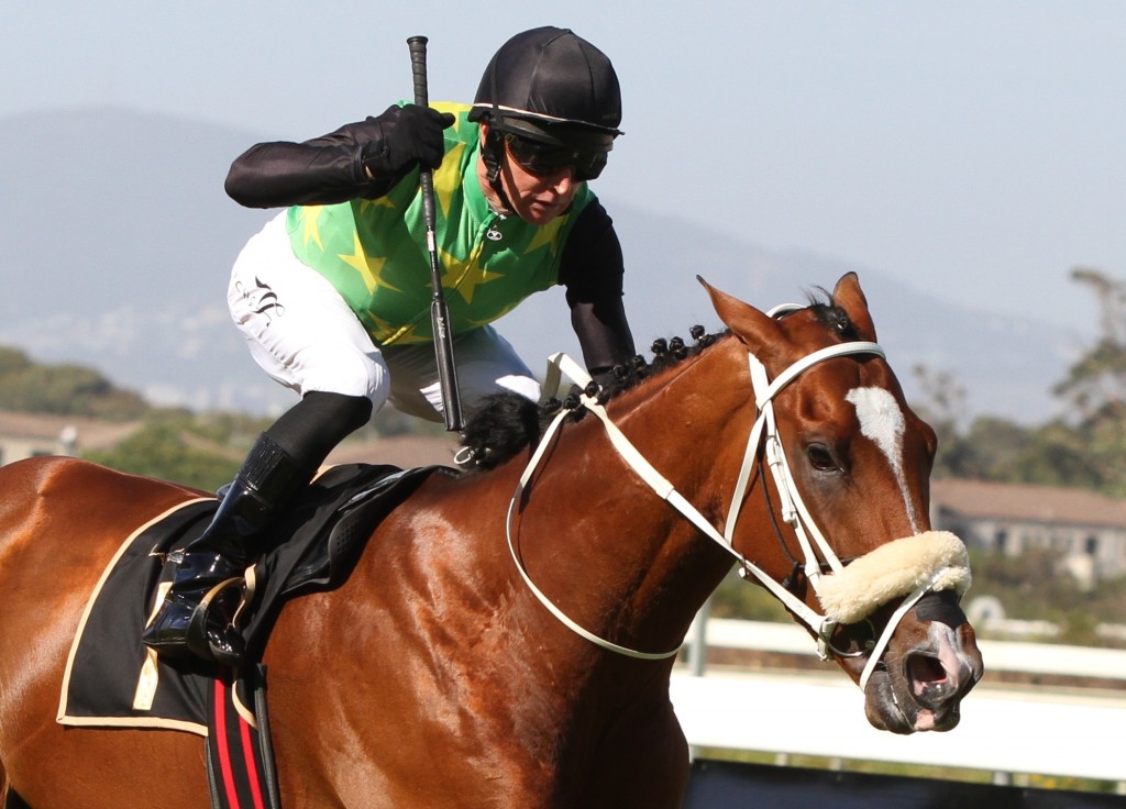 Piere Strydom - One man, 5000 winners | Gold Circle Horse Racing And ...