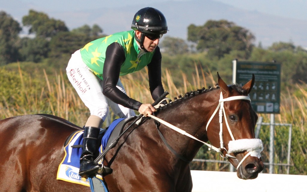 Ramsden has faith in Red Ray | Gold Circle Horse Racing And Betting
