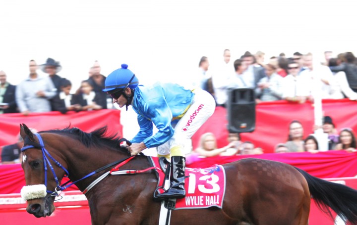 Wylie Hall aimed at Challenge | Gold Circle Horse Racing And Betting