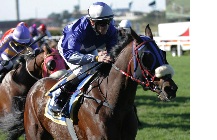 All about the race | Gold Circle Horse Racing And Betting