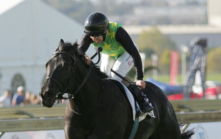 All about the race | Gold Circle Horse Racing And Betting