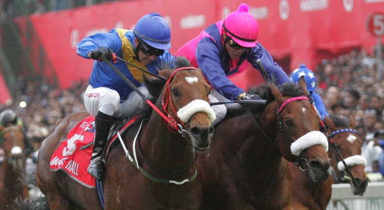 All about the race | Gold Circle Horse Racing And Betting