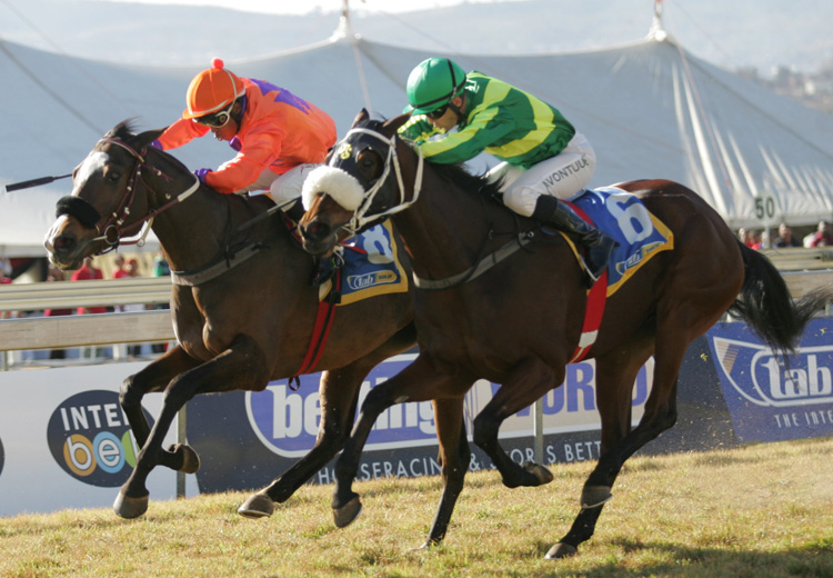 All about the race | Gold Circle Horse Racing And Betting