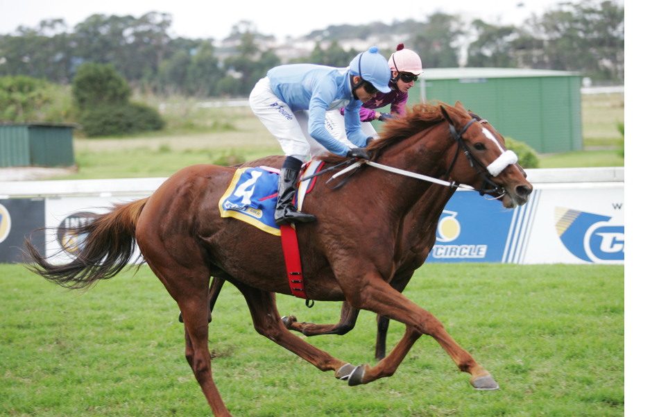 All about the race | Gold Circle Horse Racing And Betting