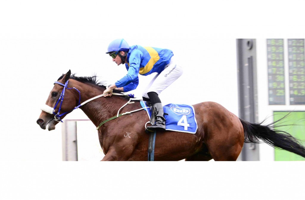 Impressive comeback from Wylie Hall | Gold Circle Horse Racing And Betting