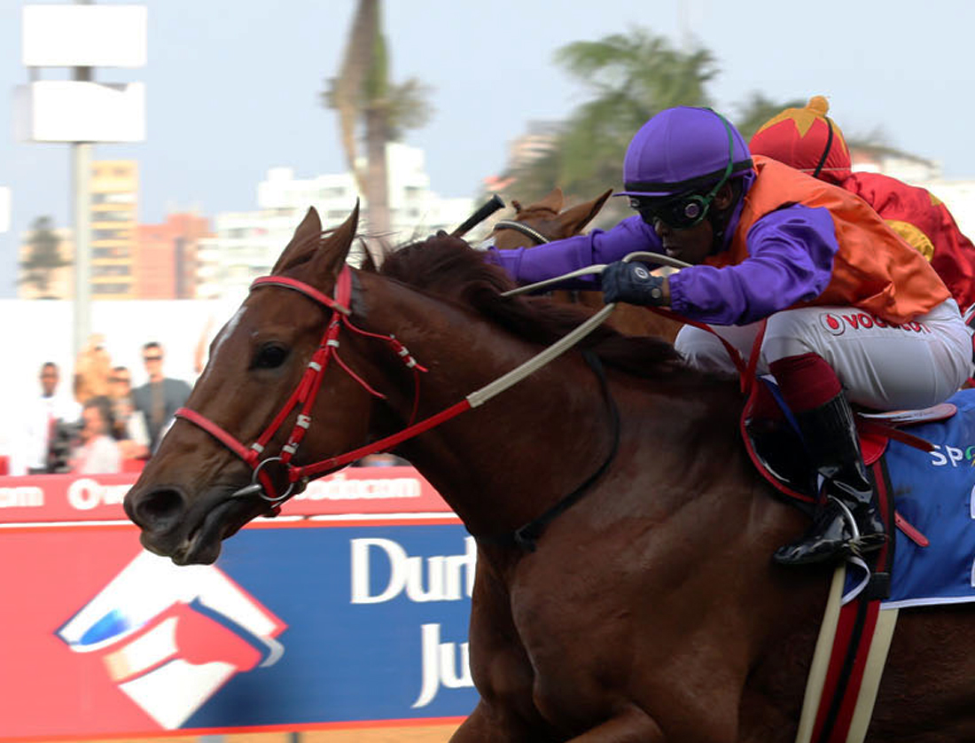Media Release: eLan Property Group Gold Cup Raceday Entries | Gold ...