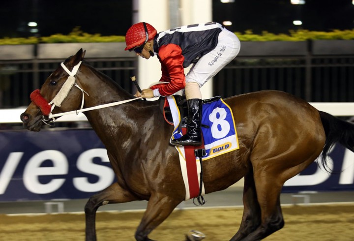 Cashing in on Quintella | Gold Circle Horse Racing And Betting