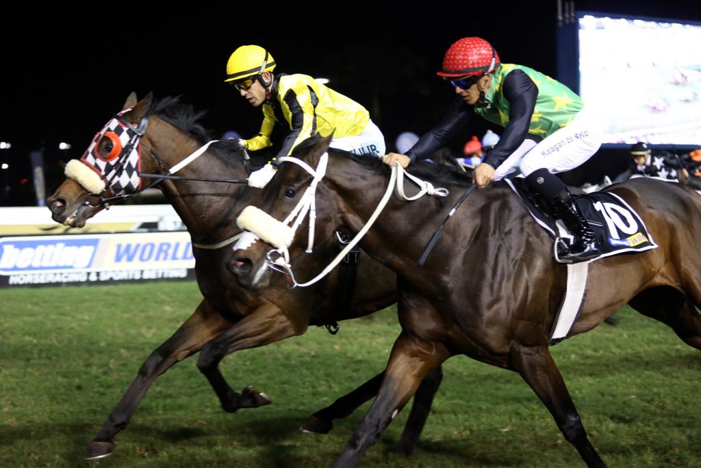 Solid Speed on familiar path | Gold Circle Horse Racing And Betting