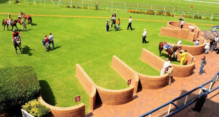 ComputaForm and ComputaForm Express Online Only | Gold Circle Horse ...