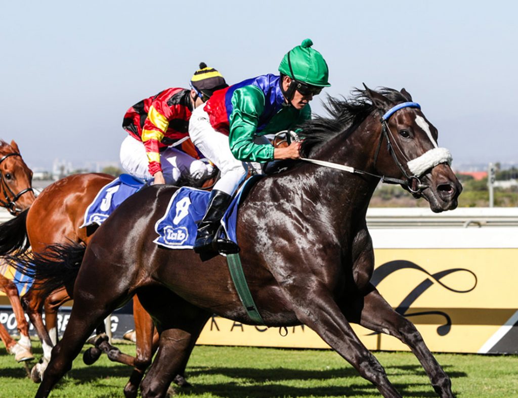 Querari tops Fillies Guineas boards | Gold Circle Horse Racing And Betting
