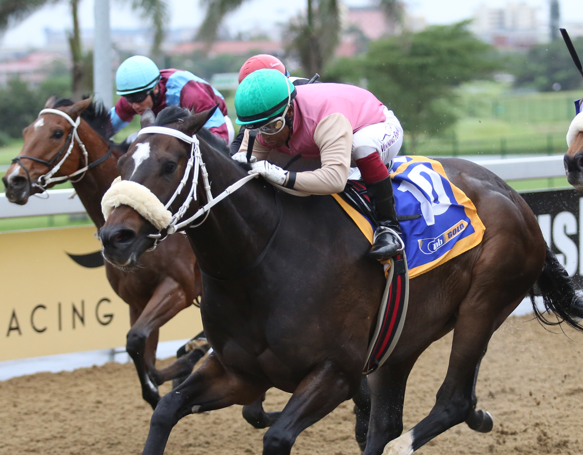 Open door for Humidor | Gold Circle Horse Racing And Betting