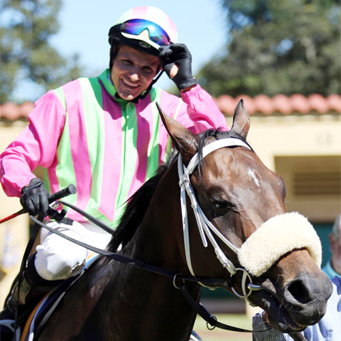 Moon Bird ready to launch | Gold Circle Horse Racing And Betting