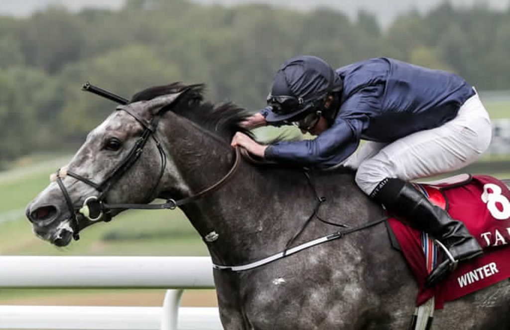 Can O'Brien beat Frankel's Grade 1 record | Gold Circle Horse Racing ...