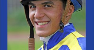 ComputaForm and ComputaForm Express Online Only | Gold Circle Horse ...