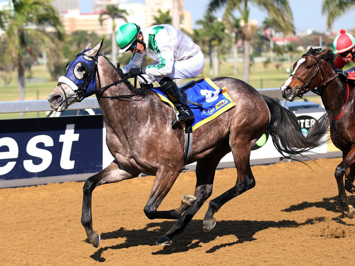 Silver Spine looks the business | Gold Circle Horse Racing And Betting