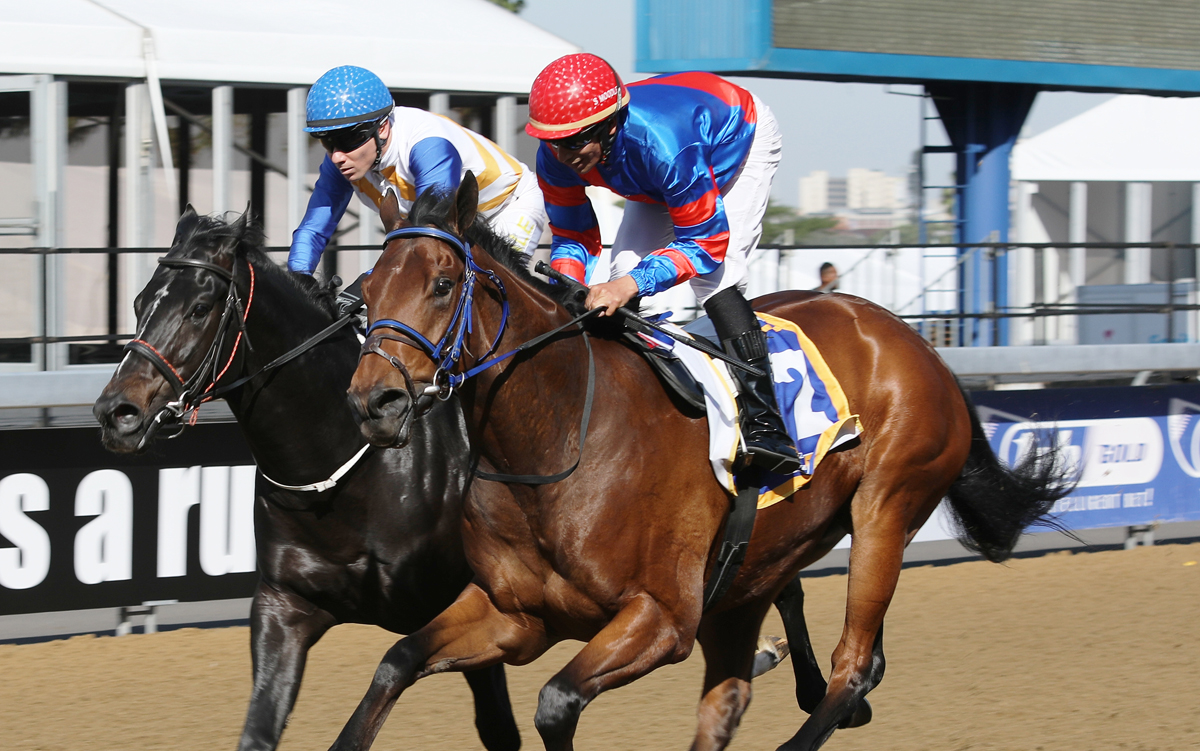 Mashari seals a hat-trick for Puller | Gold Circle Horse Racing And Betting