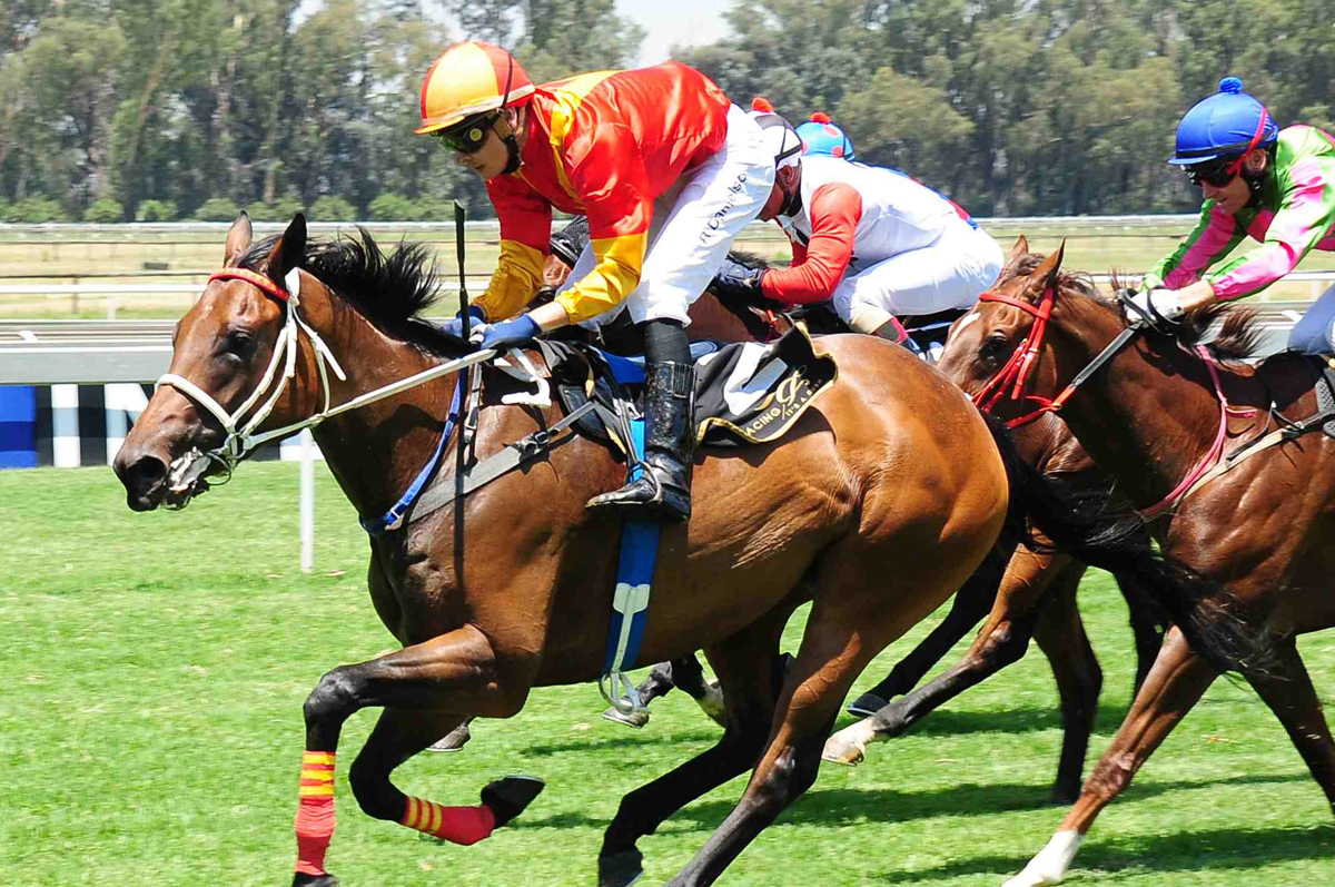 Take control with Monopolize | Gold Circle Horse Racing And Betting