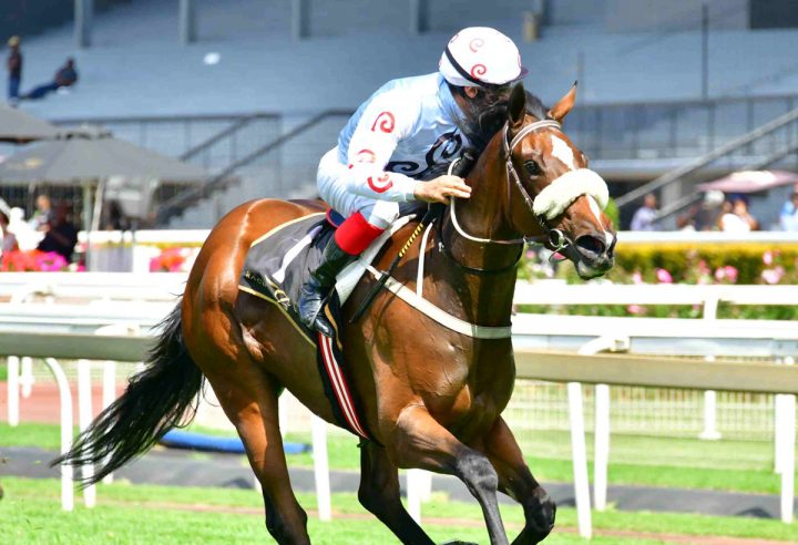 Matchett - the toast of Turffontein | Gold Circle Horse Racing And Betting