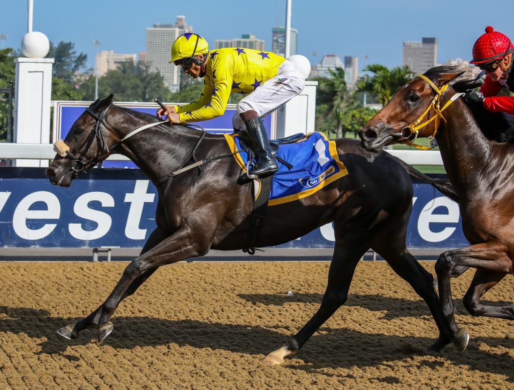 Muzi ‘hawkish’ in Cup opener | Gold Circle Horse Racing And Betting