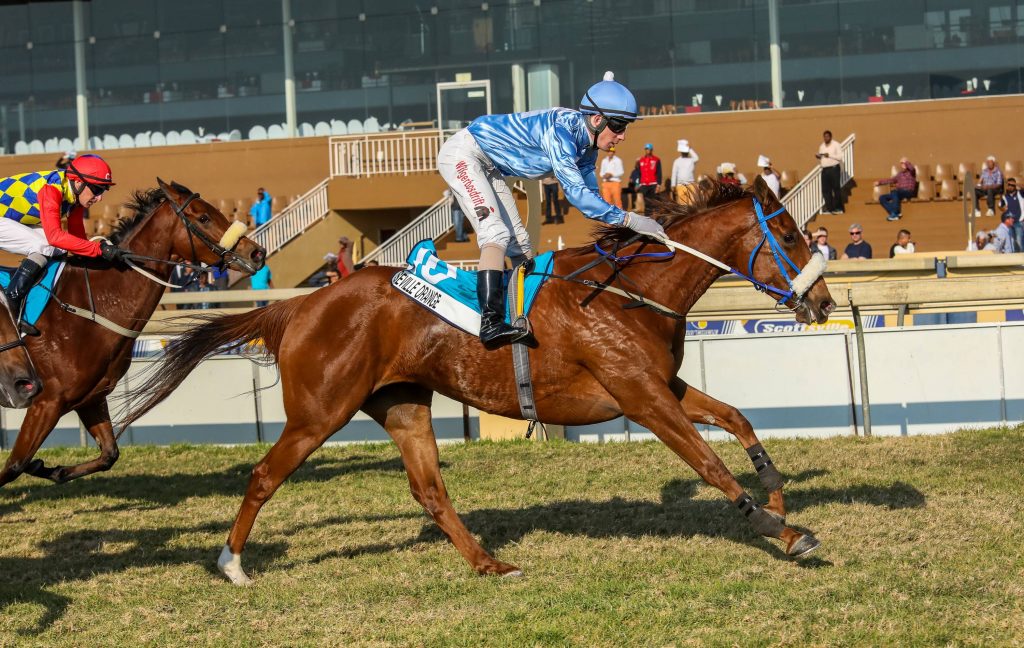 Seville Orange can shine | Gold Circle Horse Racing And Betting