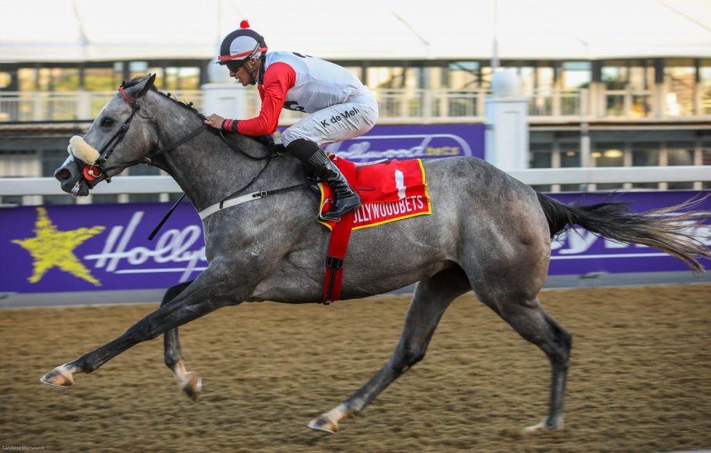 Pace the key to the race | Gold Circle Horse Racing And Betting