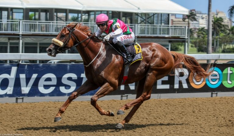 Caliente stakes his claim | Gold Circle Horse Racing And Betting