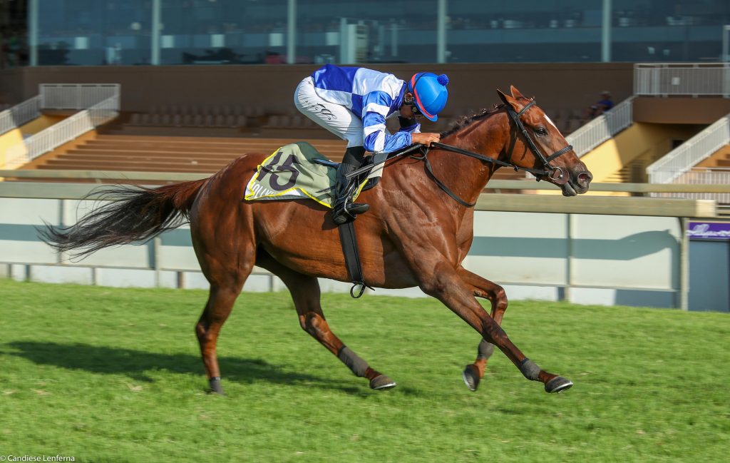 Bint El Malak does Lafferty proud | Gold Circle Horse Racing And Betting