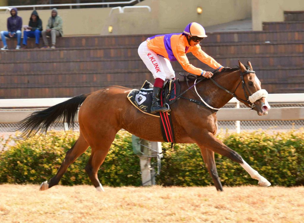 Machali to go the distance | Gold Circle Horse Racing And Betting