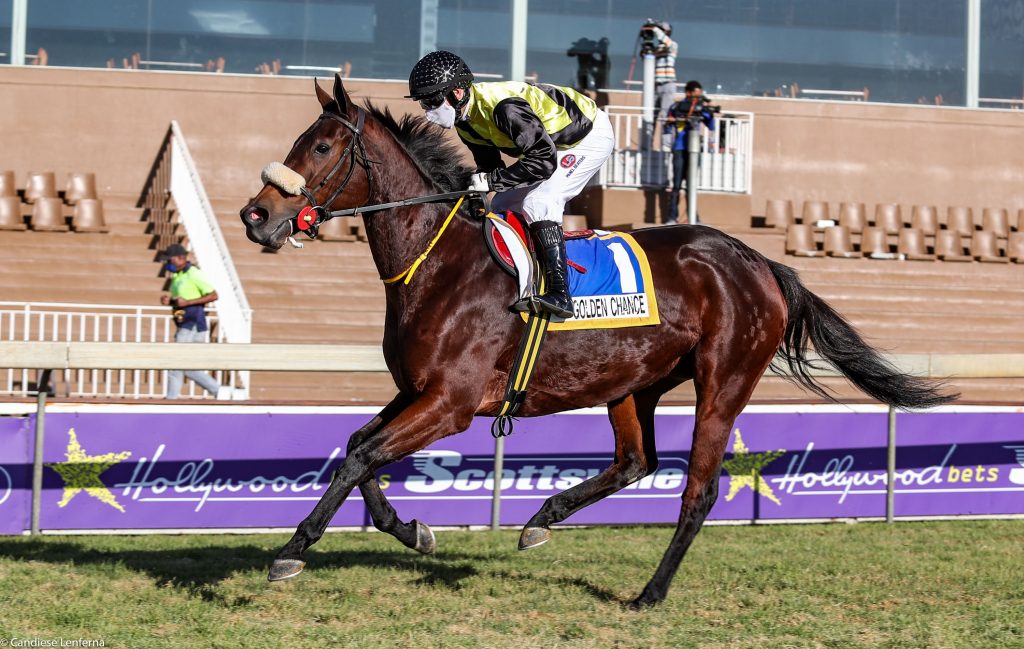 Take a chance on ‘gold’ | Gold Circle Horse Racing And Betting