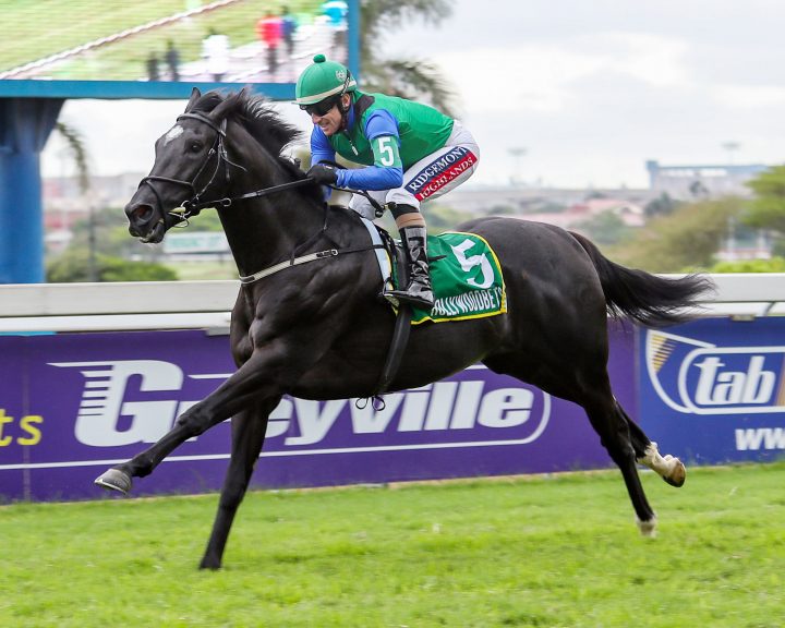 Will the ‘Shooz’ fit? | Gold Circle Horse Racing And Betting