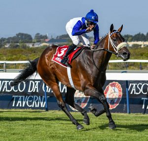 Linebacker could be something special | Gold Circle Horse Racing And ...