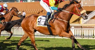 ComputaForm and ComputaForm Express Online Only | Gold Circle Horse ...