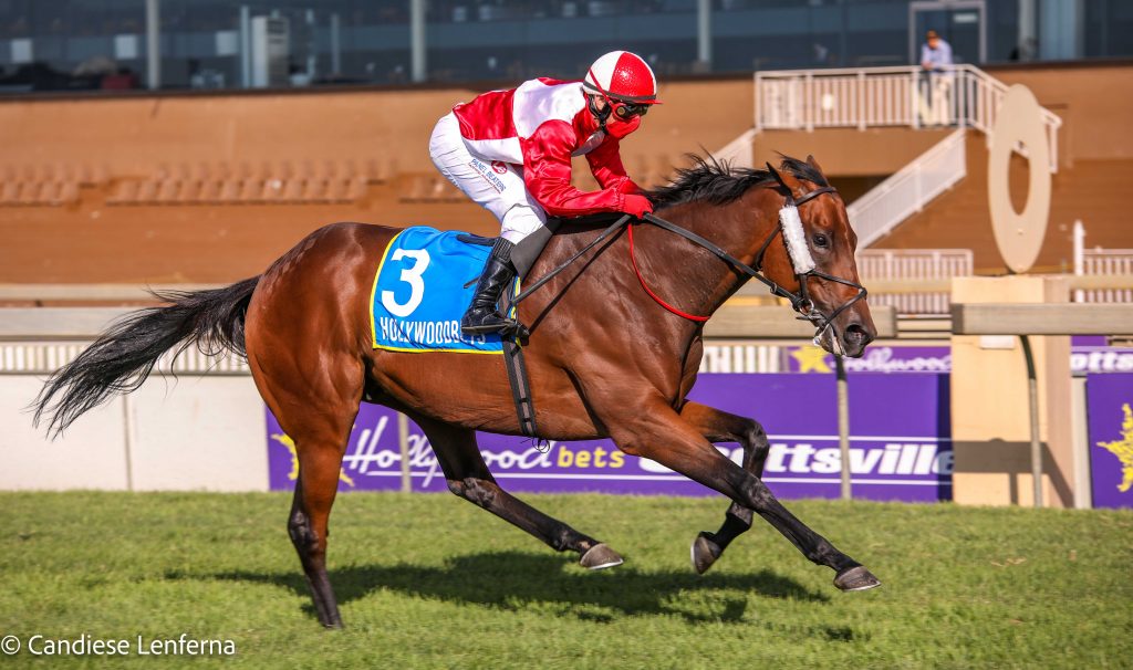 Rise Sir Michael and do it again | Gold Circle Horse Racing And Betting