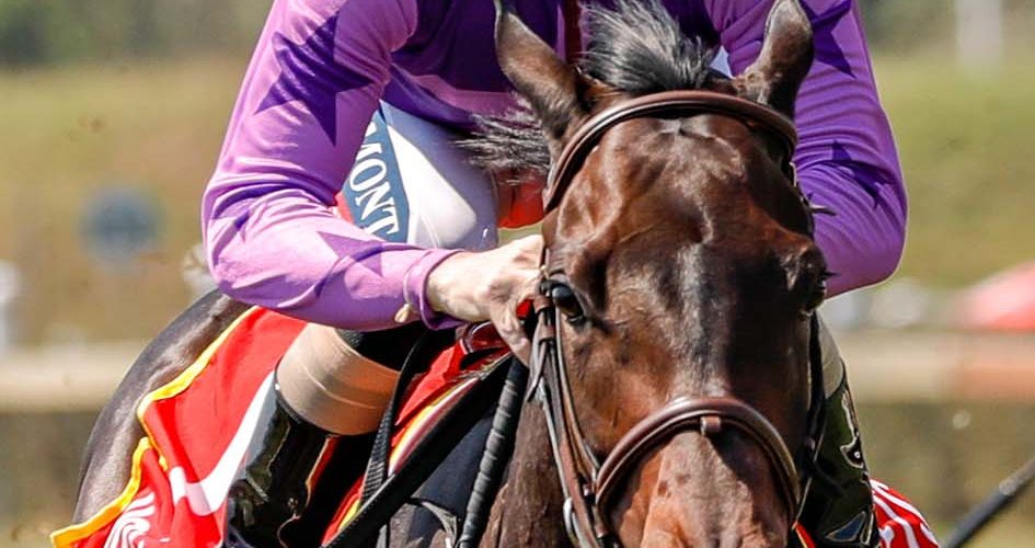 Horse Racing News | Gold Circle Horse Racing And Betting