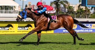 ComputaForm and ComputaForm Express Online Only | Gold Circle Horse ...