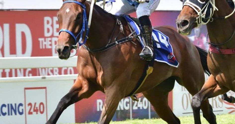 ComputaForm and ComputaForm Express Online Only | Gold Circle Horse ...