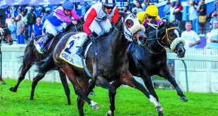 ComputaForm and ComputaForm Express Online Only | Gold Circle Horse ...