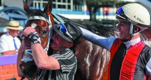 ComputaForm and ComputaForm Express Online Only | Gold Circle Horse ...