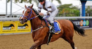Horse Racing News | Gold Circle Horse Racing And Betting