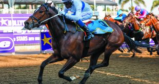 Horse Racing News | Gold Circle Horse Racing And Betting