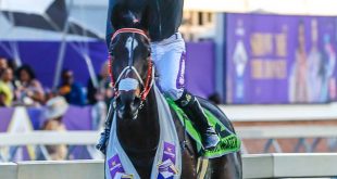 KZN TAB Outlets | Gold Circle Horse Racing And Betting