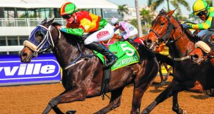 South African Horse Racing Calender | Gold Circle Horse Racing And Betting
