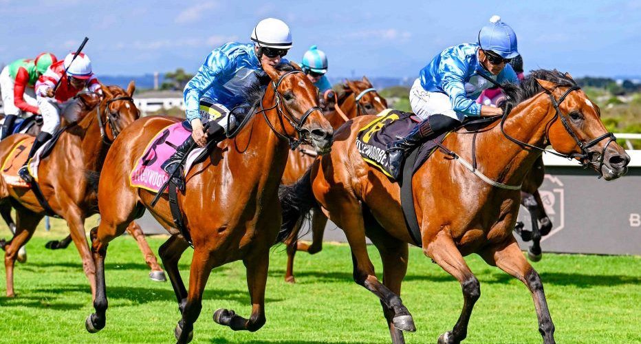 Become A Member | Gold Circle Horse Racing And Betting