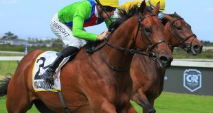 KZN TAB Outlets | Gold Circle Horse Racing And Betting