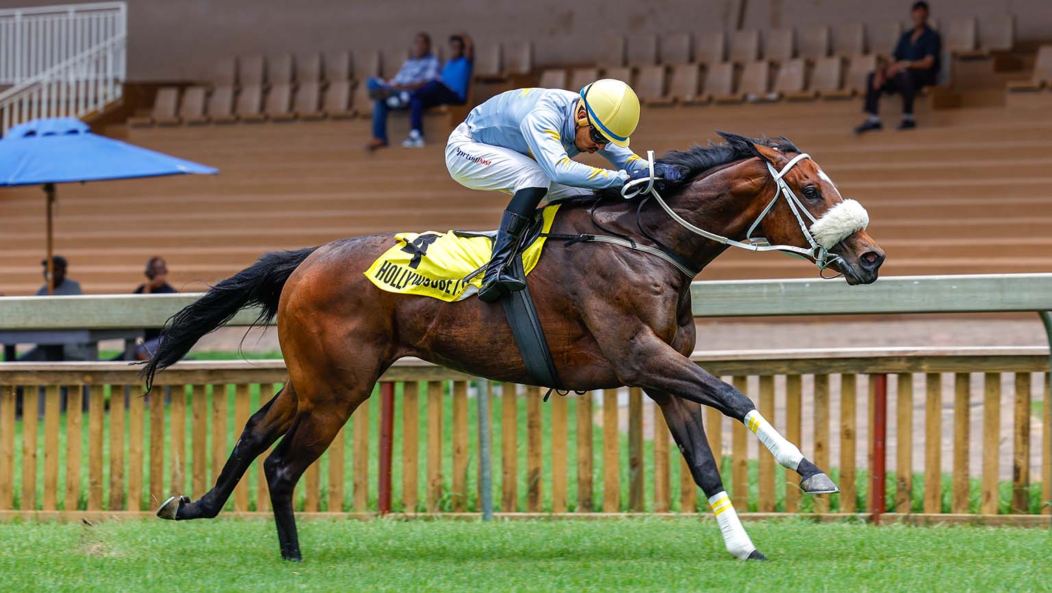 Horse Racing News | Gold Circle Horse Racing And Betting
