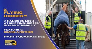 TABGOLD Media Release | Gold Circle Horse Racing And Betting