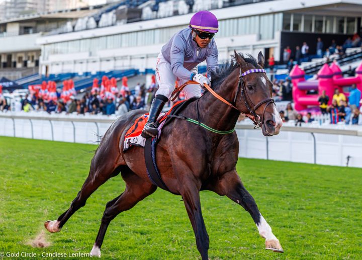 Daily News 2000 | Gold Circle Horse Racing And Betting