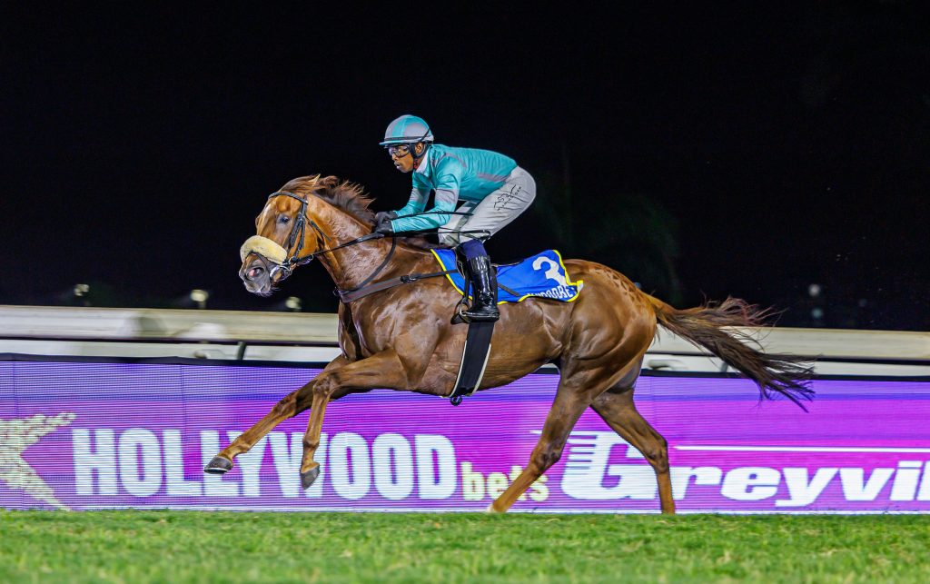 No cutting corners with Circumbendibus | Gold Circle Horse Racing And ...